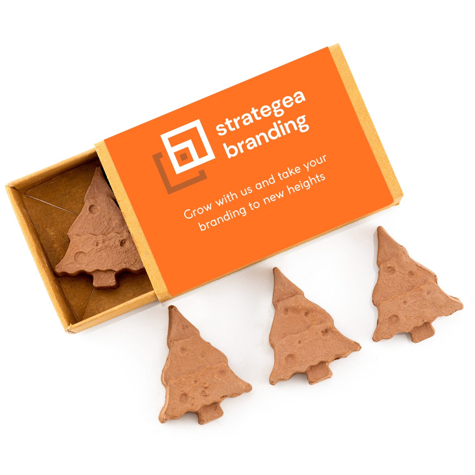 Seed Bombs - Everything Seeds