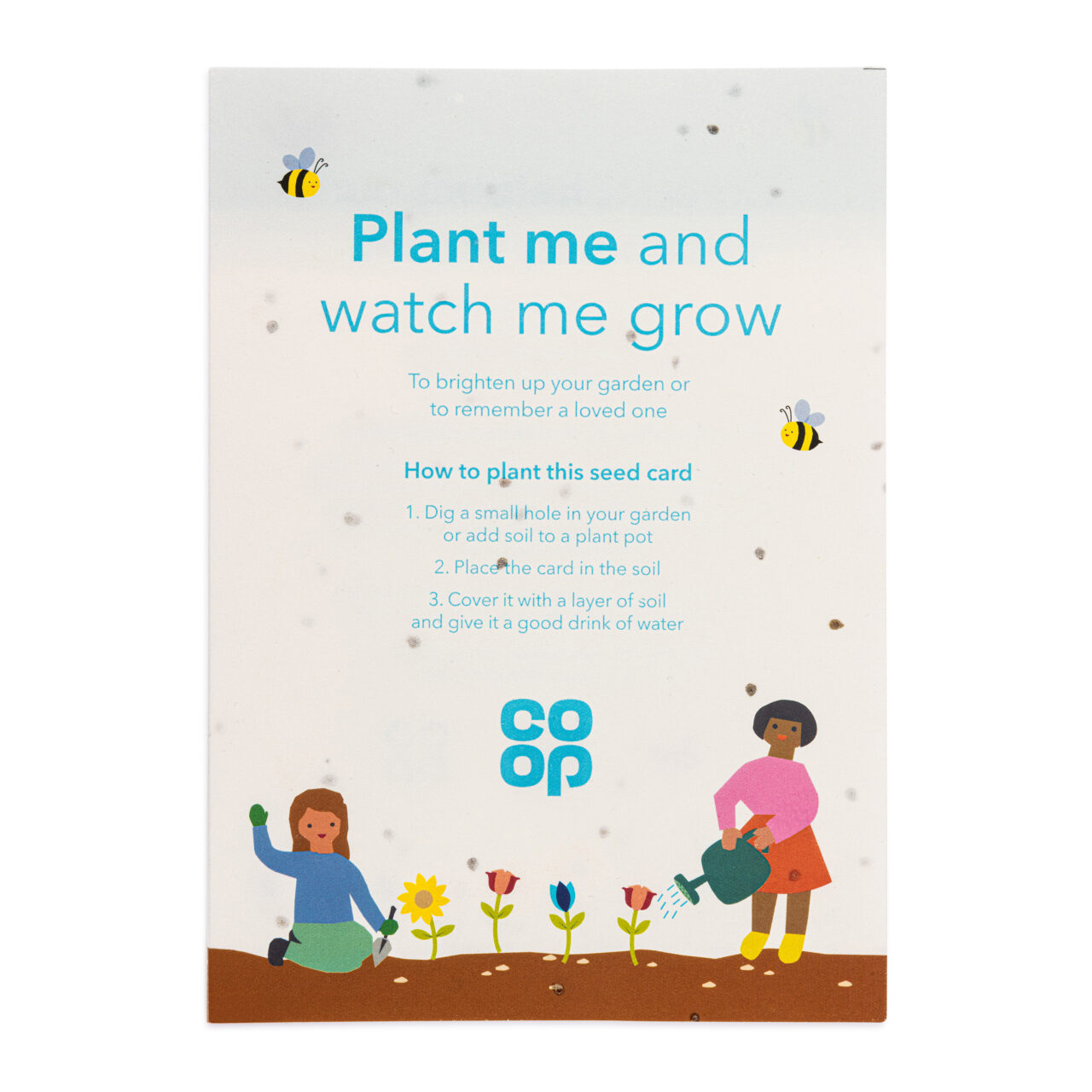 Our products - Everything Seeds