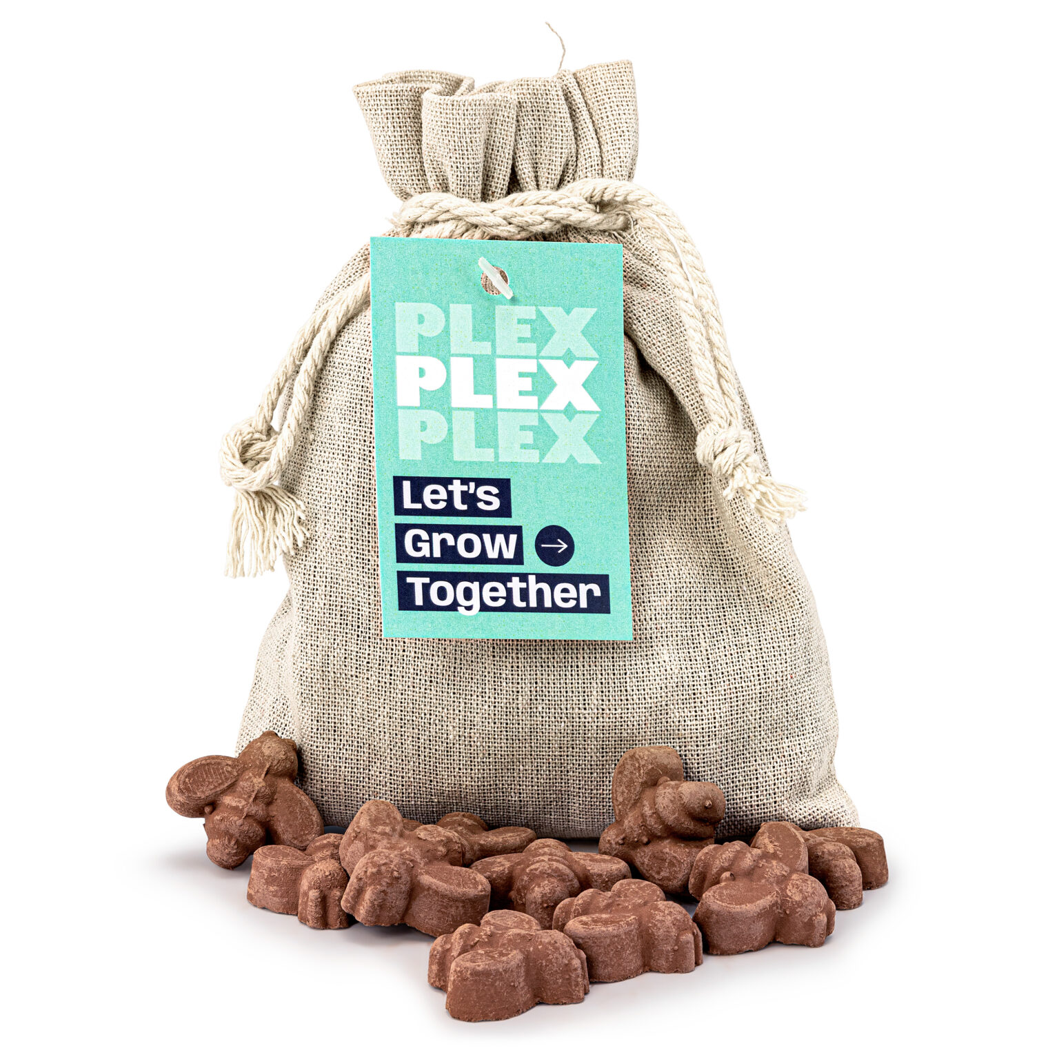 Seed Bombs - Everything Seeds